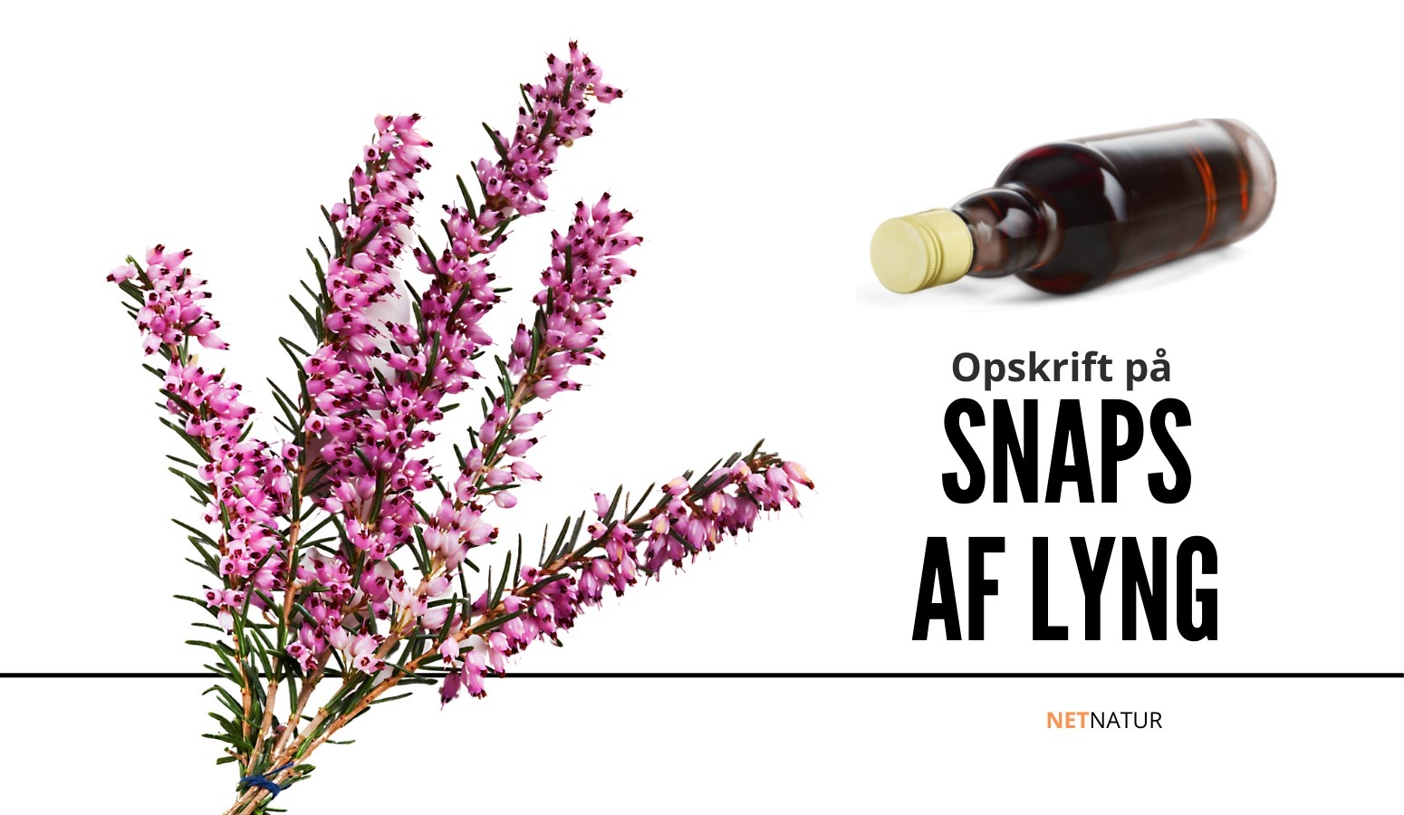 Lav din egen Lyngsnaps - Netnatur